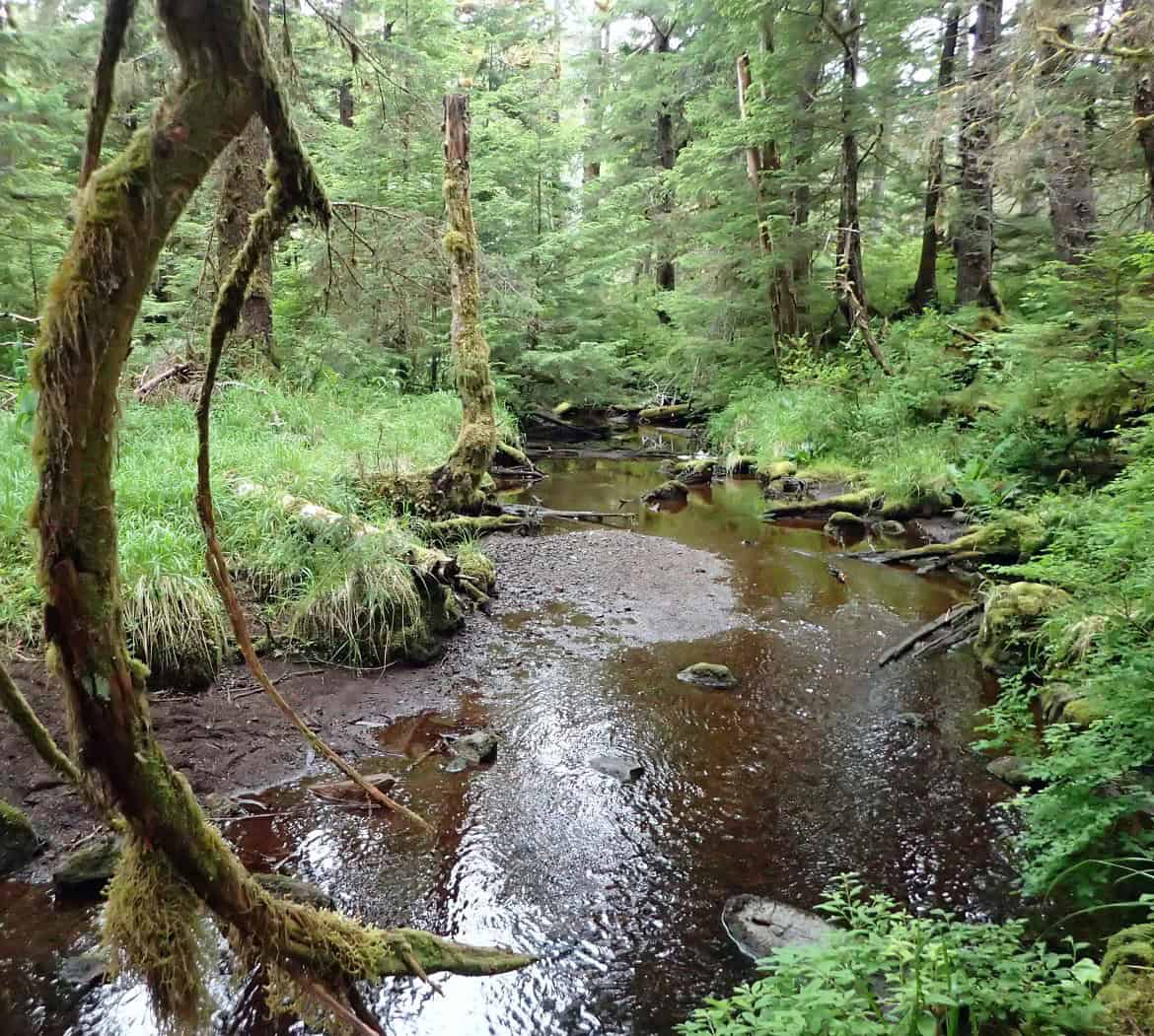 Bushwhacking and Skiff Tour-Magoun Islands-Alaska - OBLIGATORY TRAVELER ...