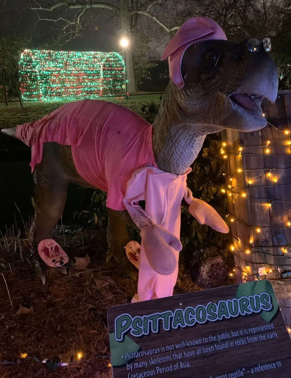 Dutch Winter Wonderland-Lancaster-Pennsylvania - OBLIGATORY TRAVELER ...