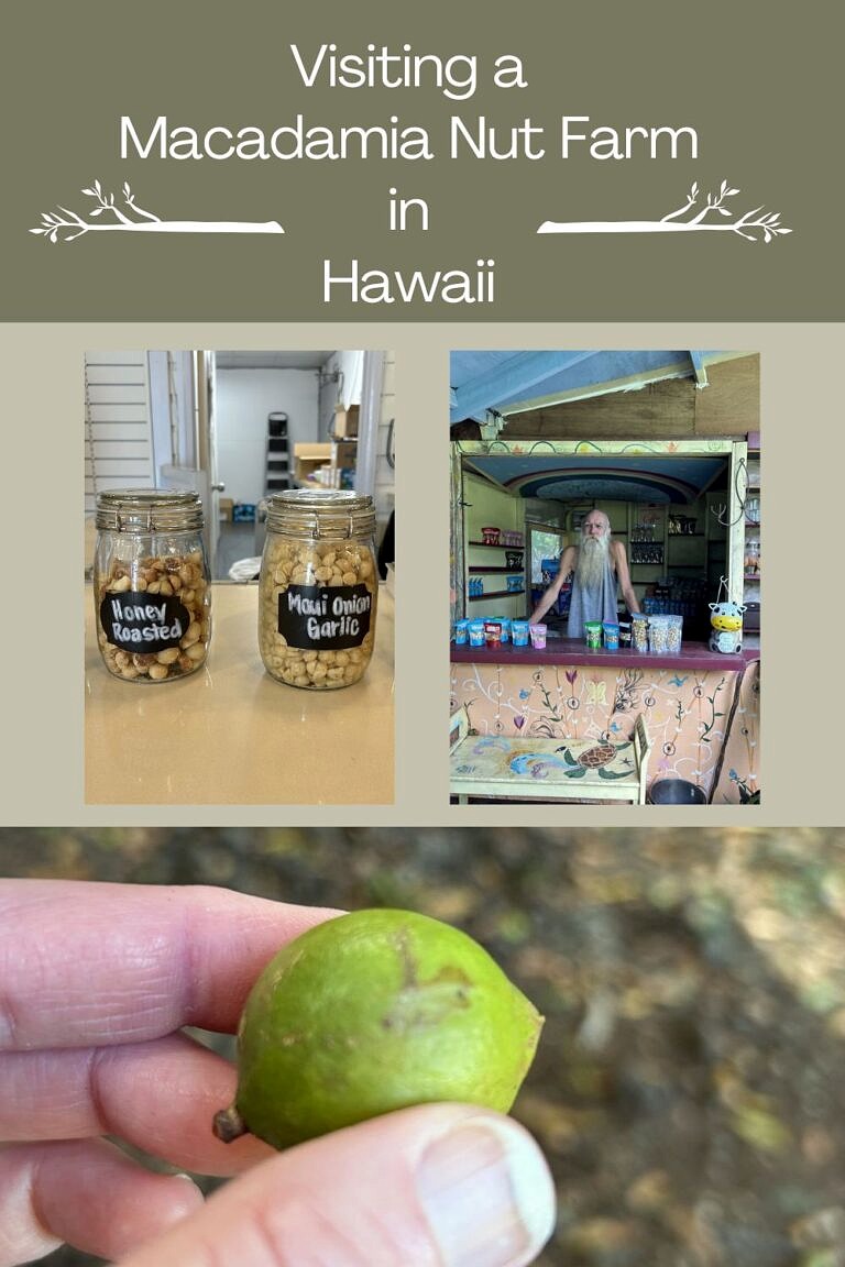 Visiting a Macadamia Nut Farm in Hawaii - OBLIGATORY TRAVELER - A ...