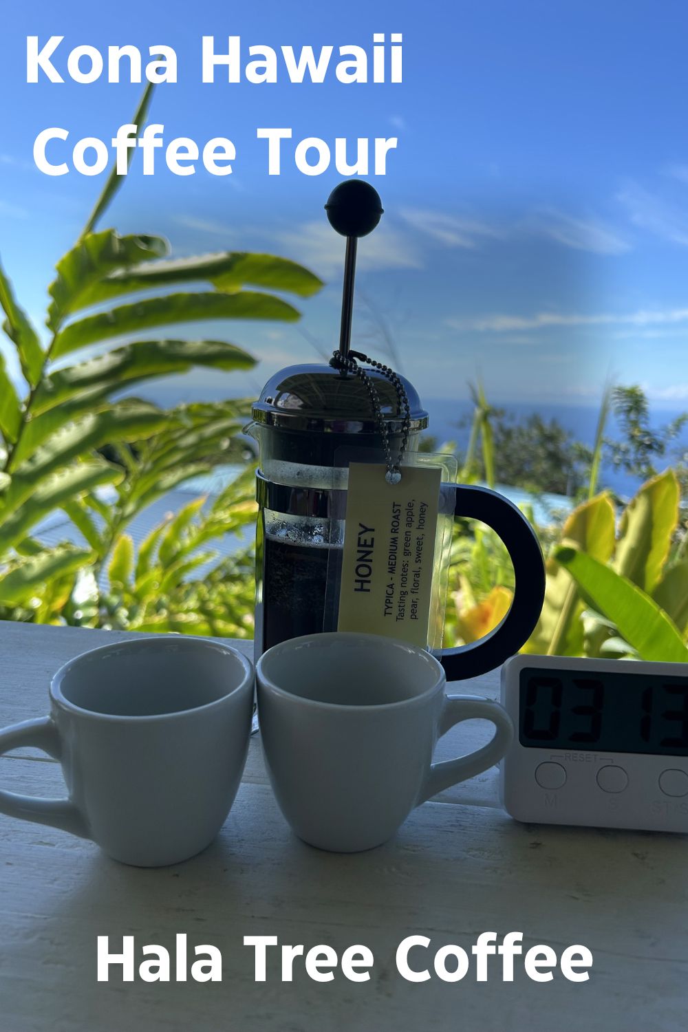 Kona Hawaii Coffee Tour-Hala Tree Coffee - Obligatory Traveler