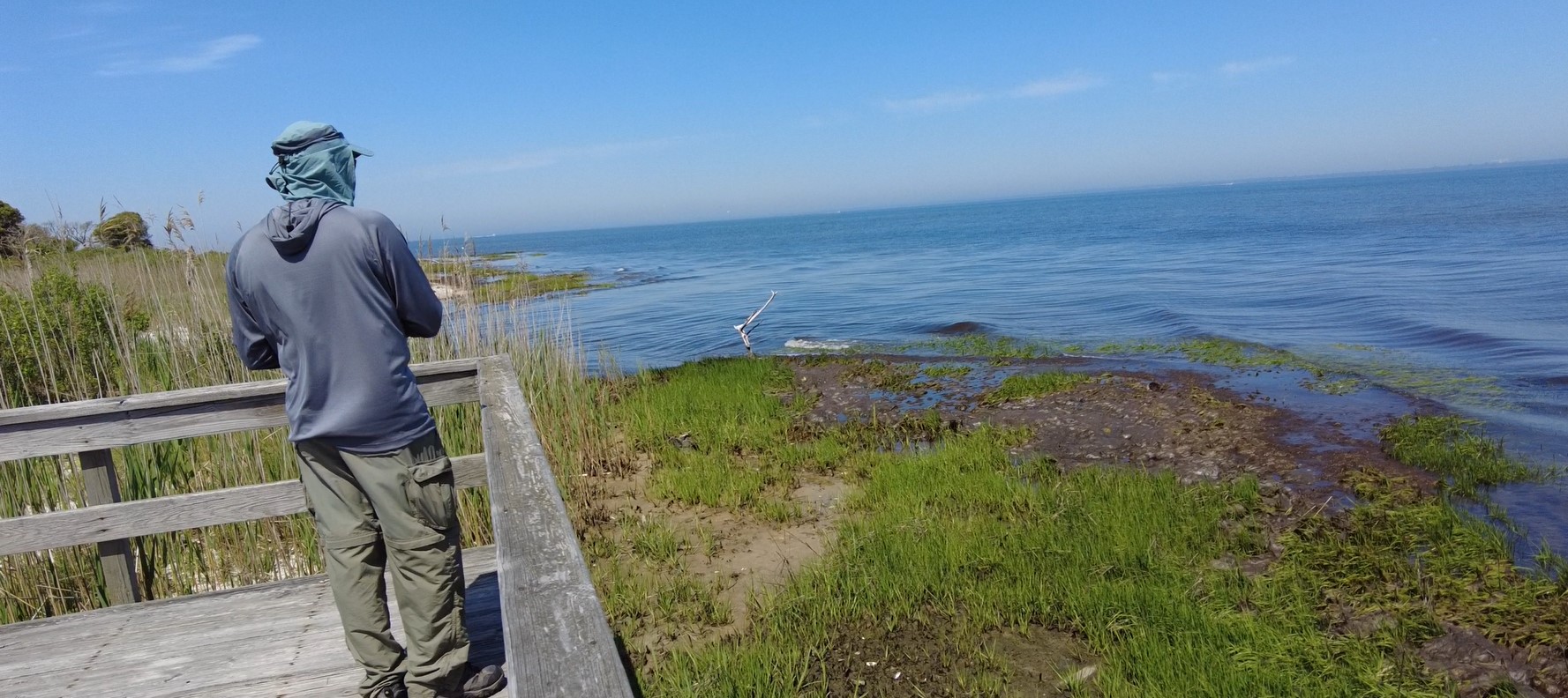 Fire Island National Seashore-Sailors Haven Day- Trip-New York ...