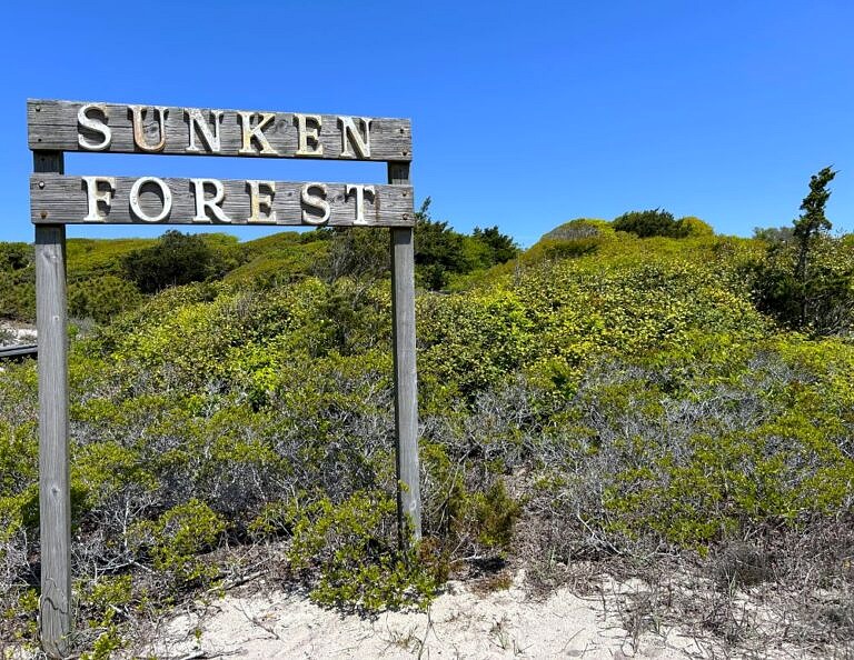 Fire Island National Seashore-Sailors Haven Day- Trip-New York ...